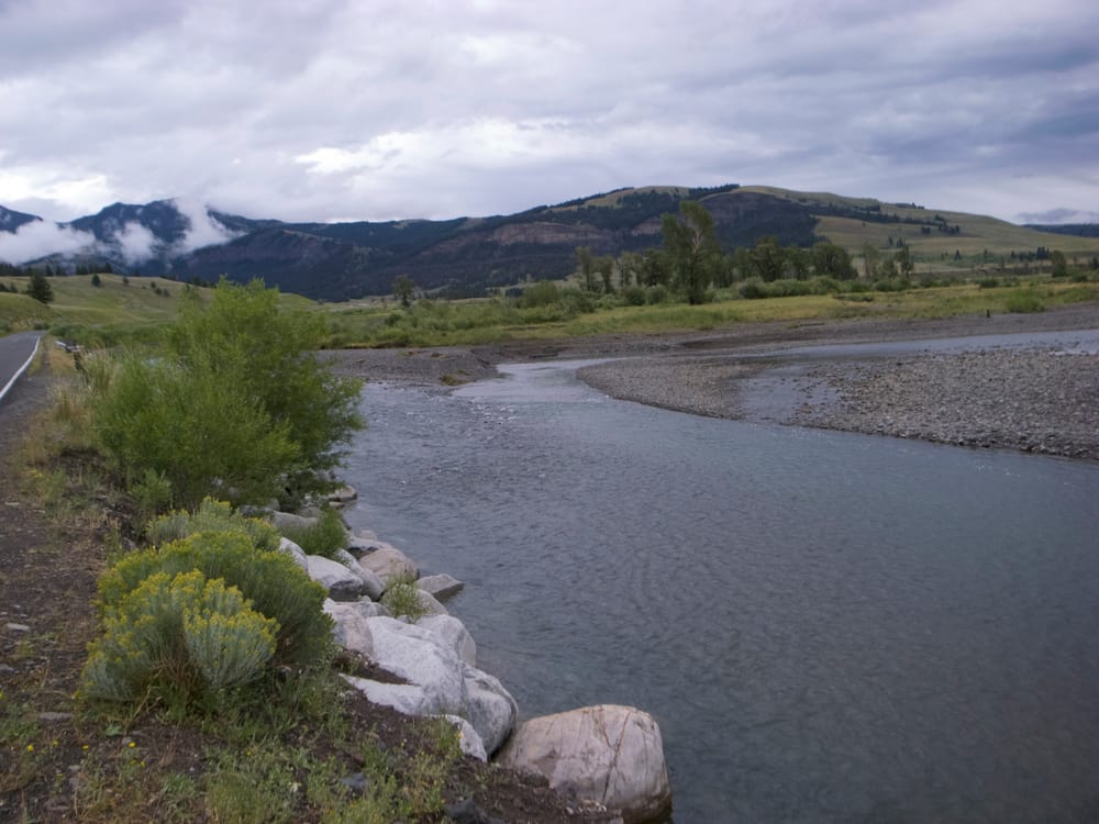 How to read a river: Riffles, runs, and pools