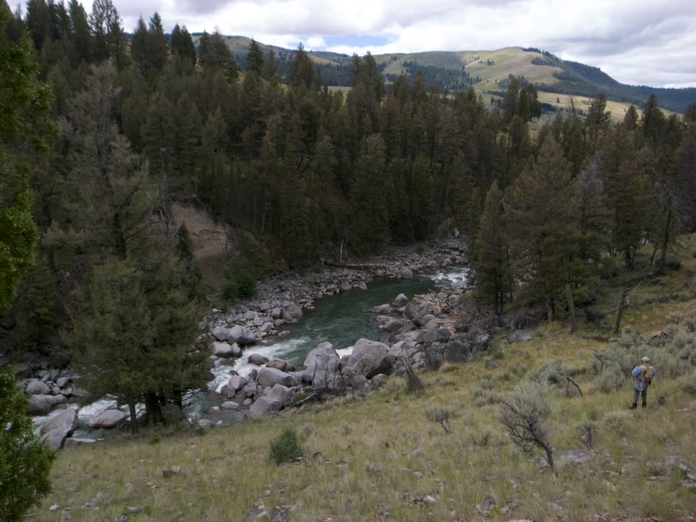 How to read a river: Riffles, runs, and pools