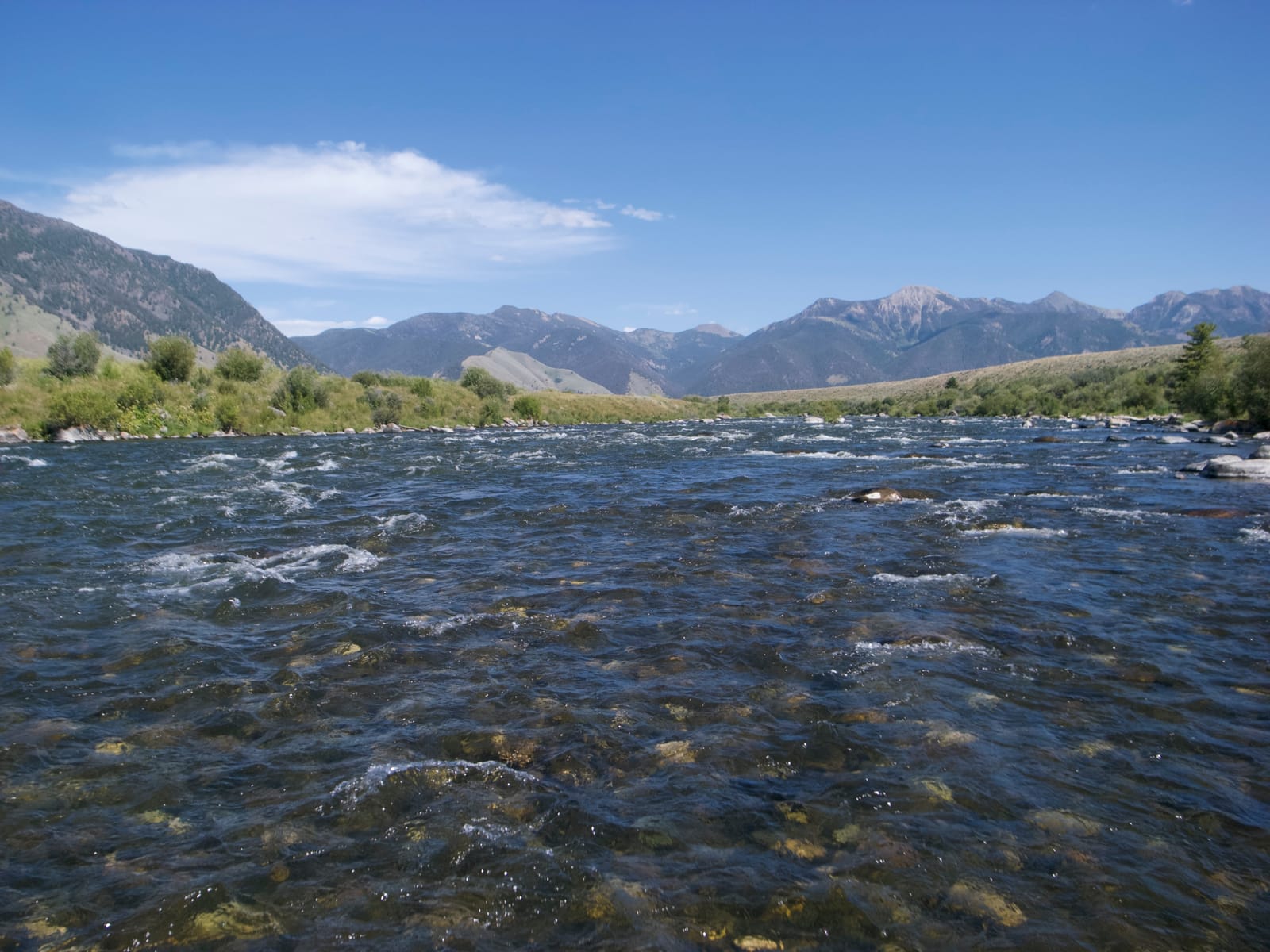 Reading water: Riffles, runs, and pools explained