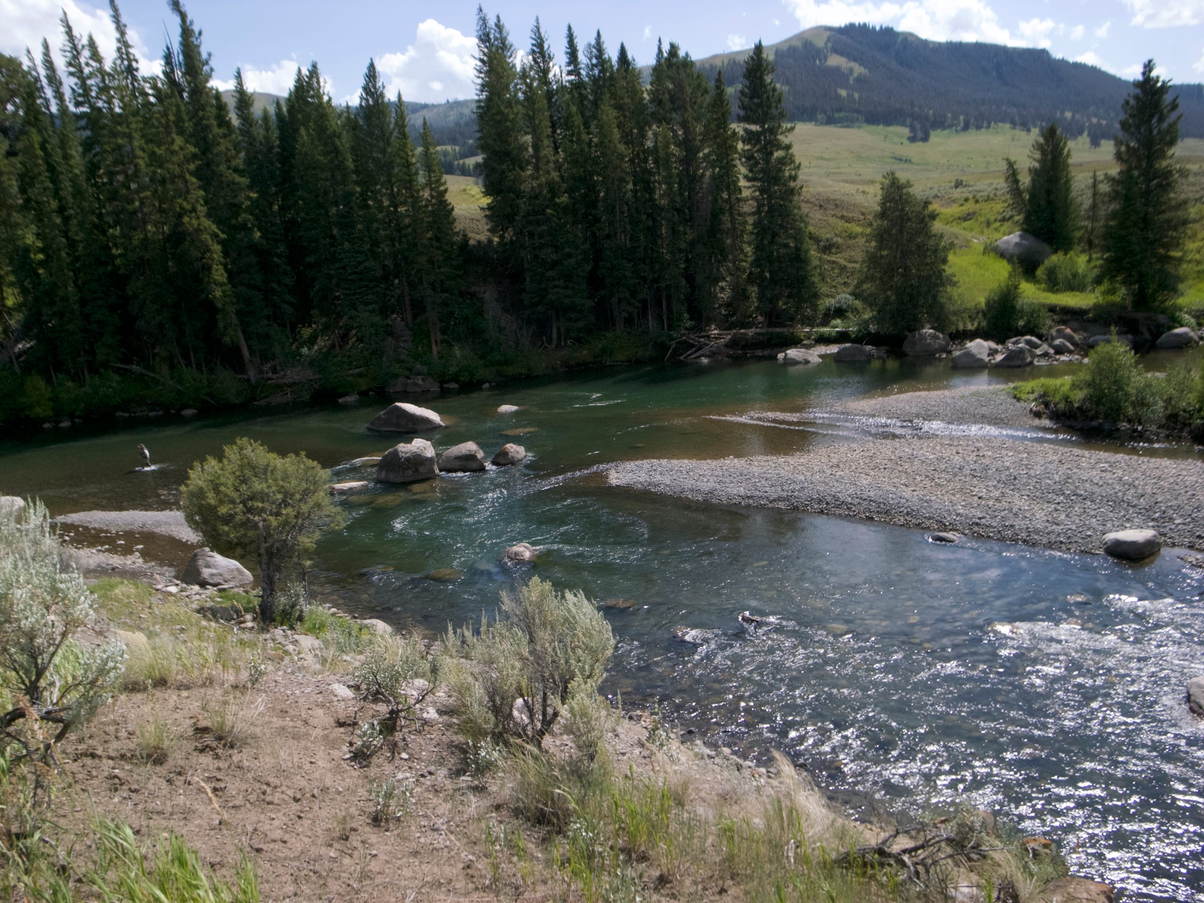 How to read a river: Riffles, runs, and pools