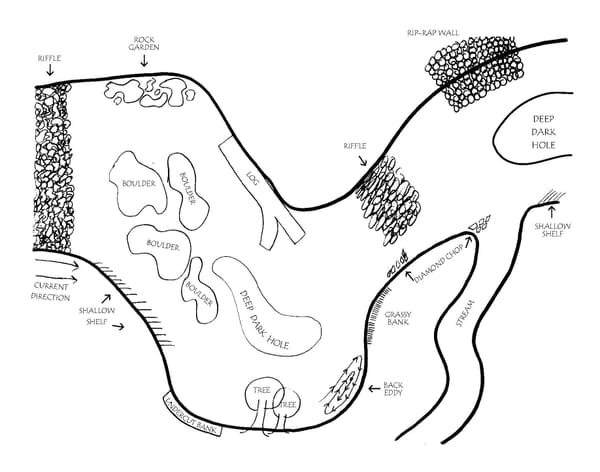 Reading water: Riffles, runs, and pools explained