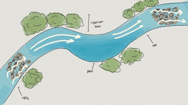 Reading water: Riffles, runs, and pools explained
